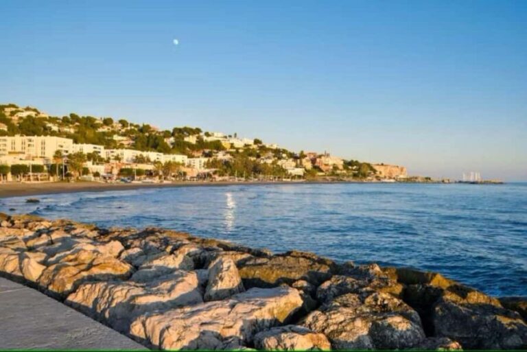 Guided tour of Malaga fishing scene with cooking workshop - The Highlight: Live Espetos Demonstration and Tasting