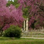 Guided visit to ancient Olympia with an Italian-Greek archaeologist tour guide - Why This Tour Offers Good Value