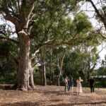Guided Warriparinga Cultural and Historical Tour - Who Should Consider This Tour?