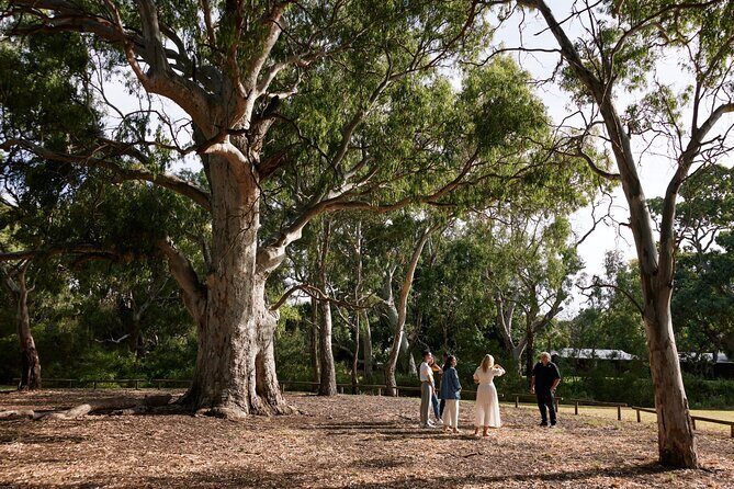 Guided Warriparinga Cultural and Historical Tour - Who Should Consider This Tour?