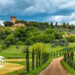 Half Day Escape to Chianti: Taste the Heart of Tuscany - Introduction: A Taste of Tuscanys Best in Half a Day