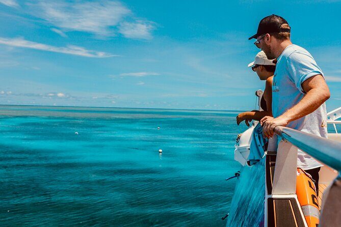 Half Day Great Barrier Reef Snorkeling Tour - What Makes It Special?