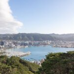 Half Day Guided Tour in Wellington including Cable Car - Who Should Book This Tour?