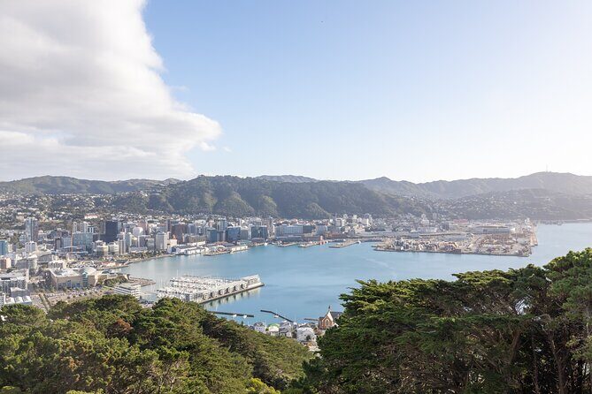 Half Day Guided Tour in Wellington including Cable Car - Who Should Book This Tour?
