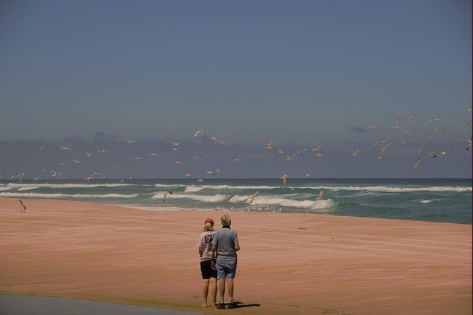 Half-Day Pemberton National Parks Beach and Forest Eco Adventure - The Experience Through the Eyes of Past Travelers