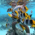 Half Day Snorkeling in Moorea - Group Size and Atmosphere