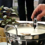 Hamburg: Mozzarella course with accompanying wines - Tasting with Biodynamic Wines and Non-Alcoholic Alternatives