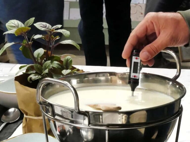 Hamburg: Mozzarella course with accompanying wines - Tasting with Biodynamic Wines and Non-Alcoholic Alternatives