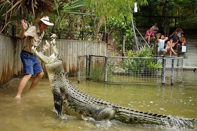 Hartleys Crocodile Adventures Half-Day Tour from Cairns - Exploring the Park: A Closer Look