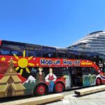 Haugesund: 1-Day Hop-On Hop-Off Sightseeing Bus GrayLine - Who Will Love This Tour?