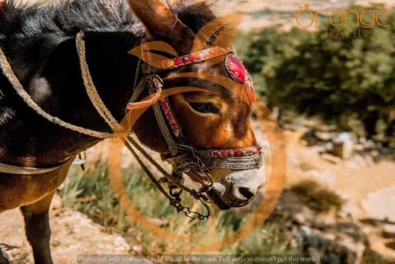 Heraklion areas :Half-Day Lasithi Plateau-Mythology Park - The Practical Details