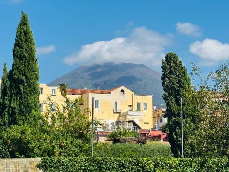 Herculaneum: experience with an archaeologist in a small group of up to 10 people - Why this tour is a smart choice