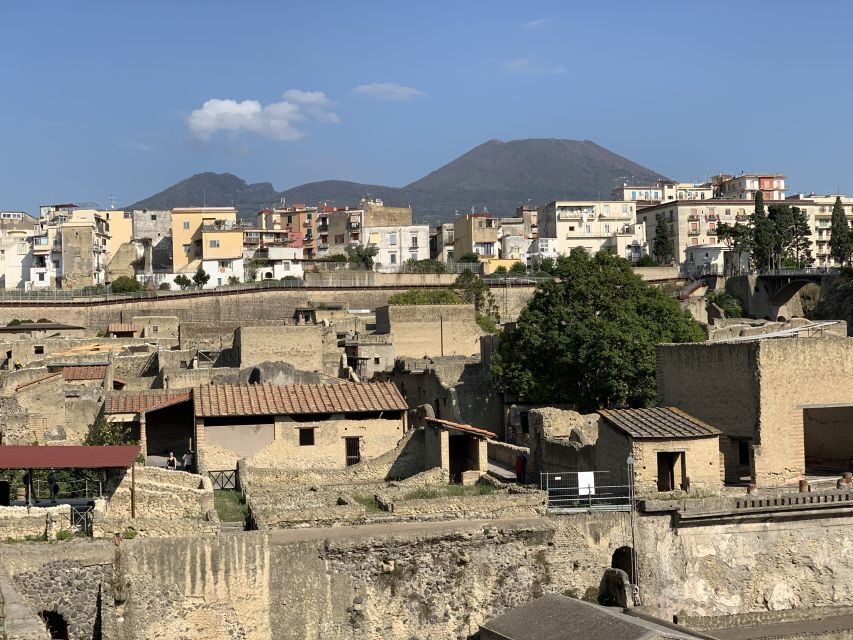 Herculaneum: Tickets & Tour with a Local Archaeologist - The Bottom Line