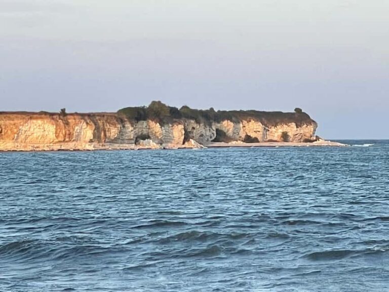 Heritage Tour to Stevn Klint & Vikingborg Fort UNESCO Sites. - Authentic Experiences and Practical Tips