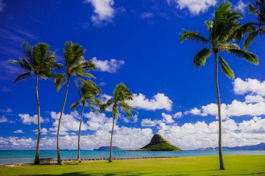 Hidden Gems of Oahu Circle Island Tour with Byodo-In Temple - What Are the Key Points?