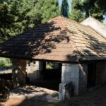 Hidden Mljet: Quad Adventure Through Nature & Tradition - A Closer Look at the Experience