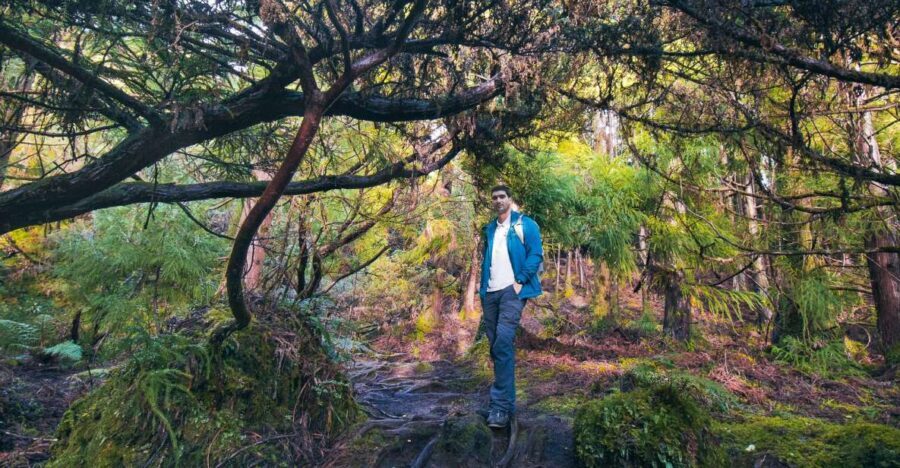 Hiking Trails - Why This Guided Hike Stands Out