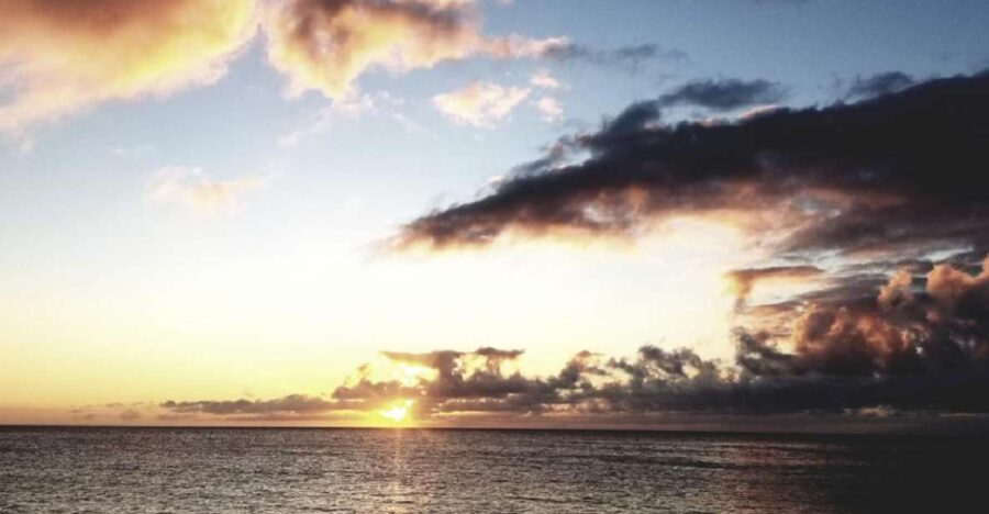 Hilo: Night Dive for Certified Divers - Who Will Love This Experience?