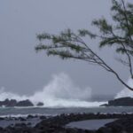 Hilo: Walking Ghost Tour - Is It Worth the Price?