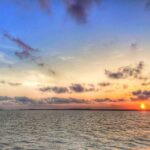 Hilton Head Island: Dolphin Tour at Sunset & Fireworks Show - The value of the experience