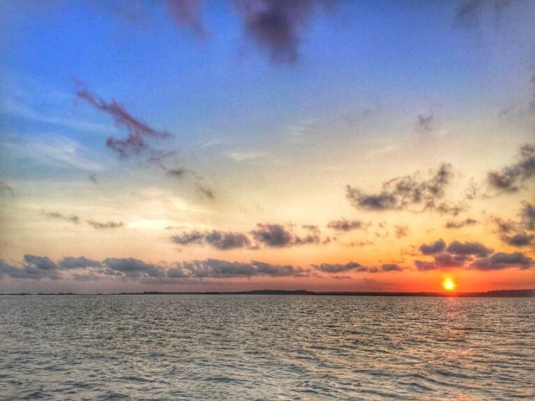 Hilton Head Island: Dolphin Tour at Sunset & Fireworks Show - The value of the experience