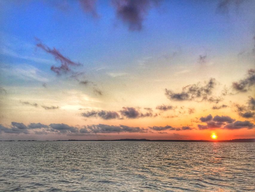 Hilton Head Island: Dolphin Tour at Sunset & Fireworks Show - The value of the experience