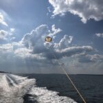 Hilton Head Island: High-Flying Parasail Experience - The Value and Price
