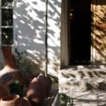 Homemade Georgian Feast in Mukhrani, near Mtskheta - What to Expect During the Tour