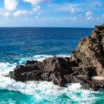 Honolulu: Oahu Sights and Bites Island Tour - What Travelers Say