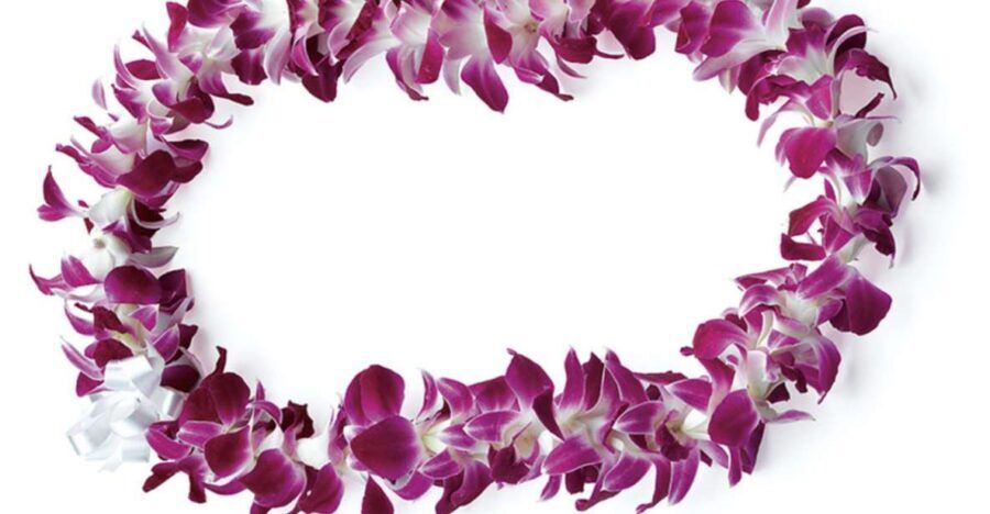 Honolulu: Private Airport Transfer with Arrival Lei Greeting - The Experience in Detail