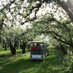 Hood River: Orchard Tour - What You Can Expect on the Hood River Orchard Tour