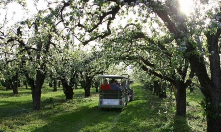 Hood River: Orchard Tour - What You Can Expect on the Hood River Orchard Tour