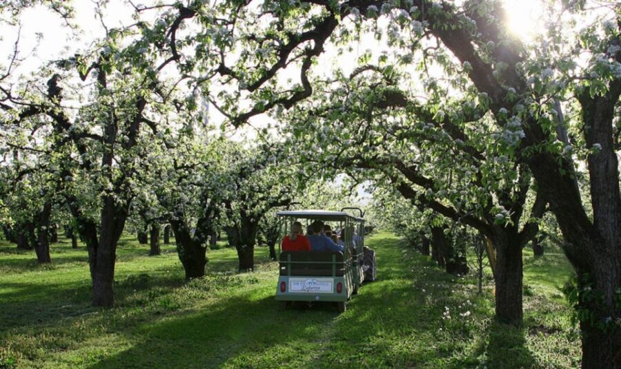 Hood River: Orchard Tour - What You Can Expect on the Hood River Orchard Tour