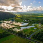 Hook A Barra Fishing Experience - Pricing and Value: Is It Worth It?