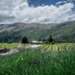 Hop on Hop off Wine Tours Queenstown - The Adventure of Shotover Jet and Other Highlights
