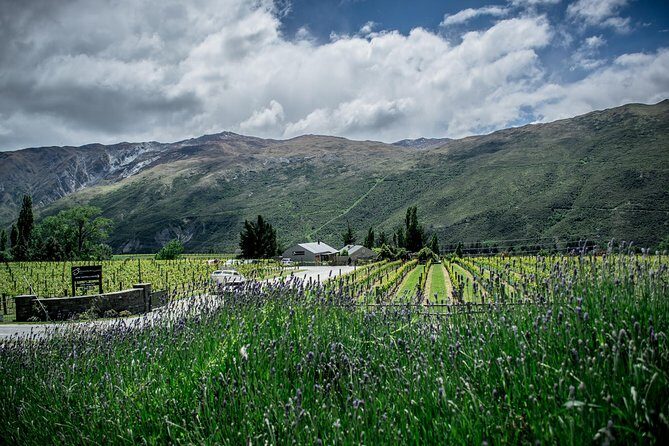 Hop on Hop off Wine Tours Queenstown - The Adventure of Shotover Jet and Other Highlights
