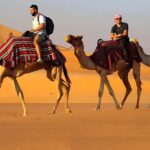 Horse, Camel, and Donkey Riding Experience at the Farm in the Antalya Region - Key Points