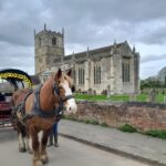 Horse drawn carriage ride and Picnic Hamper - Who Will Love This Experience?