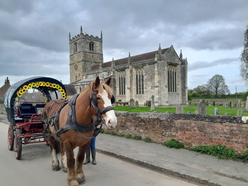 Horse drawn carriage ride and Picnic Hamper - Who Will Love This Experience?