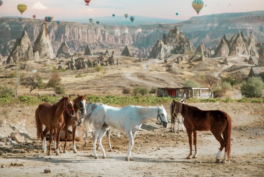 Horse Riding Cappadocia- Cappadocia Horse Farm - The Valleys Explored