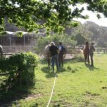 Horse riding in the Valley, near Lisbon, brunch and winnery - The Trail Itself: Scenic Riding and Natural Beauty