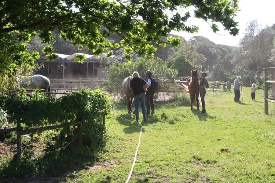 Horse riding in the Valley, near Lisbon, brunch and winnery - The Trail Itself: Scenic Riding and Natural Beauty