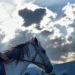 Horseback riding in Dilijan - Who Should Consider This Tour?