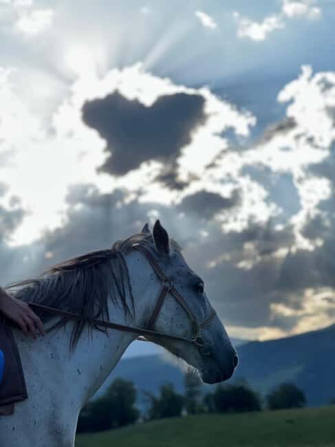 Horseback riding in Dilijan - Who Should Consider This Tour?