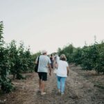 Hort de Sa Vall: Guided tour of the crops and outdoor dinner - What You Can Expect from the Tour
