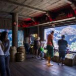 Houston: Downtown Aquarium All Day Pass - Price and Value Analysis
