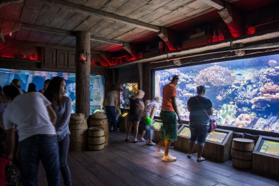 Houston: Downtown Aquarium All Day Pass - Price and Value Analysis