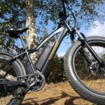 Humboldt: Electric Bike Rentals (4-Hour or Full Day options) - The Value and Pricing