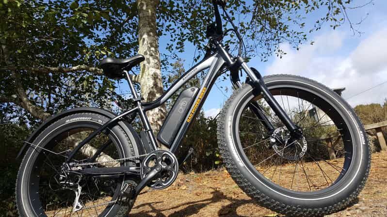 Humboldt: Electric Bike Rentals (4-Hour or Full Day options) - The Value and Pricing