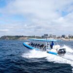 Humpback Whale Encounter Tour from Newcastle - Detailed Itinerary and Experience Breakdown